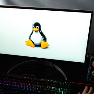 Rushed Patches Follow Broken Embargo on Linux Kernel Vulnerabilities ...