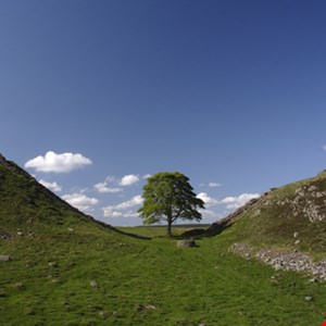 Artificial Intelligence: The Obstacles Standing in its Way ...