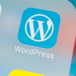 Attackers Exploit Zero-Day in WordPress Plugin - Infosecurity Magazine