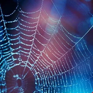 The Dark Web – Is it All Bad? - Infosecurity Magazine