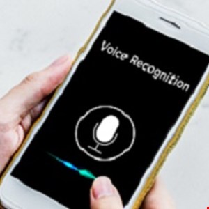 Steps to Implementing Voice Authentication and Securing Biometric Data ...