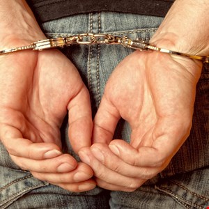 Teenagers Collared for Using Lizard Squad DDoS Tool - Infosecurity Magazine