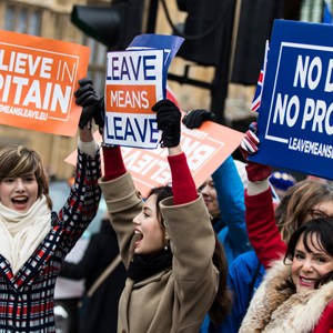 Non-UK Far-Right Twitter Accounts Amplify Brexit Messages ...