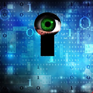 WikiLeaks Releases FinFisher Surveillance Spyware - Infosecurity Magazine