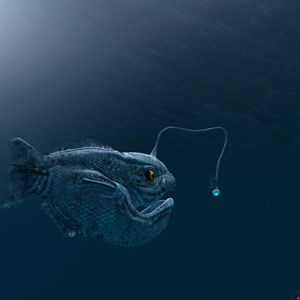 Angler Exploit Kit: Biggest, Baddest Drive-By Shooter in Town ...