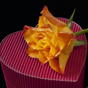 Iran's Operation Saffron Rose Points to Increasing Cyber-espionage ...