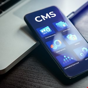 How to Keep Your CMS Safe and Secure - Infosecurity Magazine
