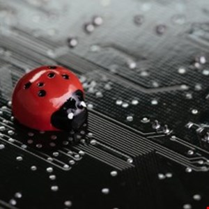 Clop Starts MOVEit Extortion as New Bug is Discovered - Infosecurity ...