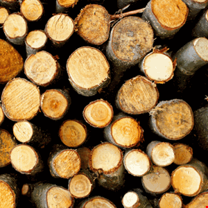 Like Falling Off a Log - Infosecurity Magazine