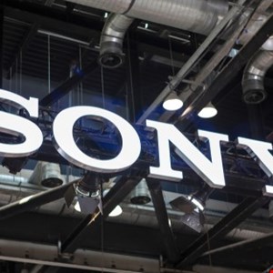 Sony DoS-er ‘DerpTrolling’ Pleads Guilty - Infosecurity Magazine