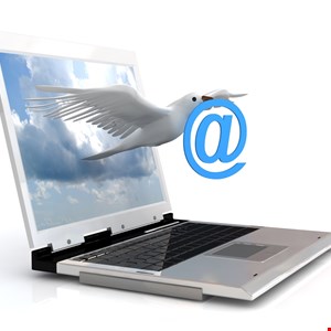 World War II Dead Pigeon Code: Cracked? - Infosecurity Magazine