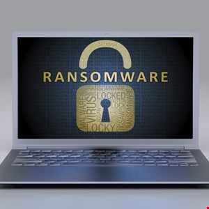 Ransomware Campaign Targets MySQL Servers - Infosecurity Magazine