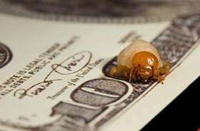 The Top Ten Bug Bounty Rewards - Infosecurity Magazine