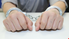 Zeus Botnet Suspected Leader Arrested in Geneva - Infosecurity Magazine