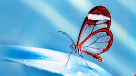 Anthropic Launches Project Glasswing to Fix Software Bugs With AI ...