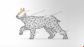 Lynx Ransomware Group Unveiled with Sophisticated Affiliate Program ...