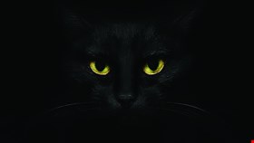 ALPHV/BlackCat Ransomware Servers Go Down - Infosecurity Magazine