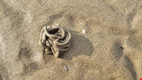 Sandworm Linked to Attack on Danish Critical Infrastructure ...