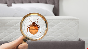 Clop: Behind MOVEit Lies a Loud, Adaptable and Persistent Threat Group ...